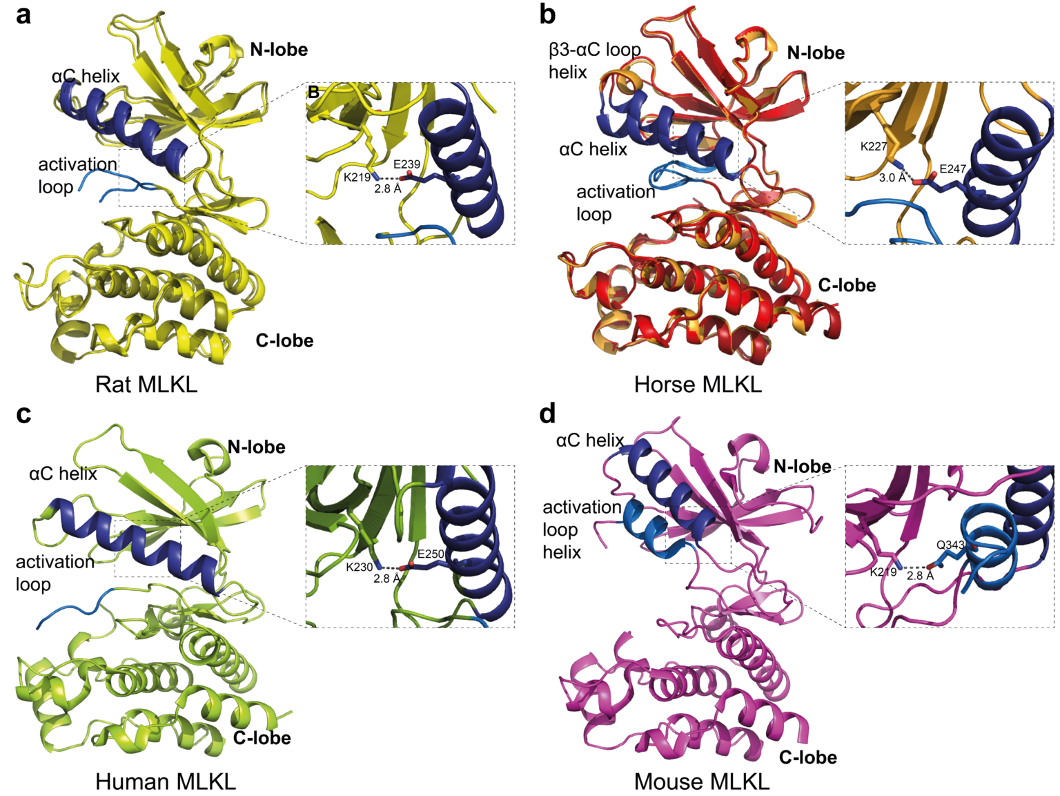 Student Research Spotlight: Katherine Davies